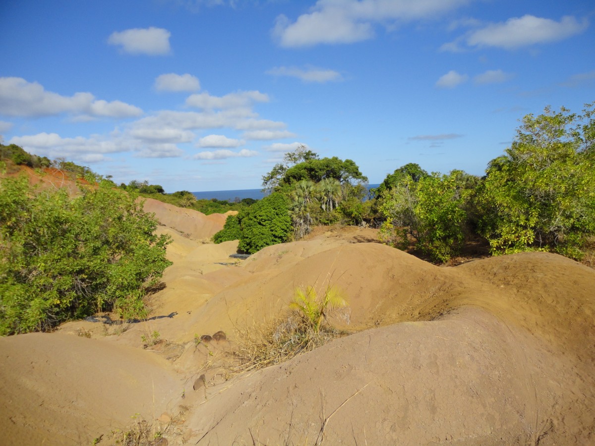 Mon aventure mahoraise: Pas à pas, de M'Tsamoudou à Saziley.